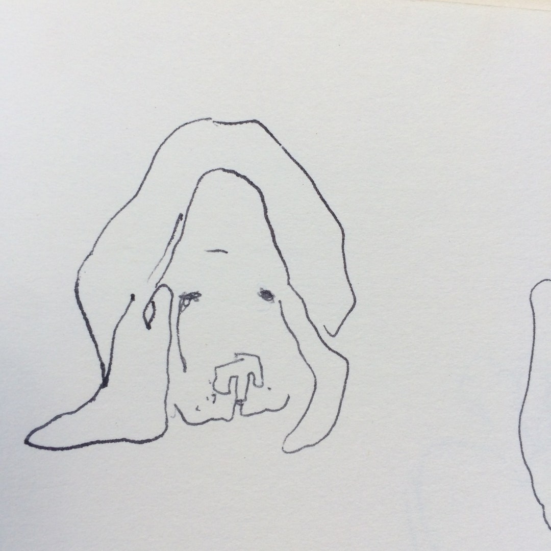 Old Dogs 1 and 2, Two Old Dogs. Simple Sketches, Each on 8.5 X 11 Paper ...