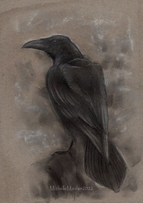 A4 size 21x30cm pastel drawing corvid art Number 5 Crow ORIGINAL sketch ...