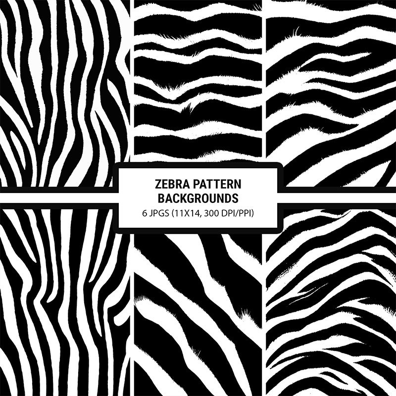 Zebra Pattern Backgrounds Bundle, Digital Paper (not Seamless) - Etsy