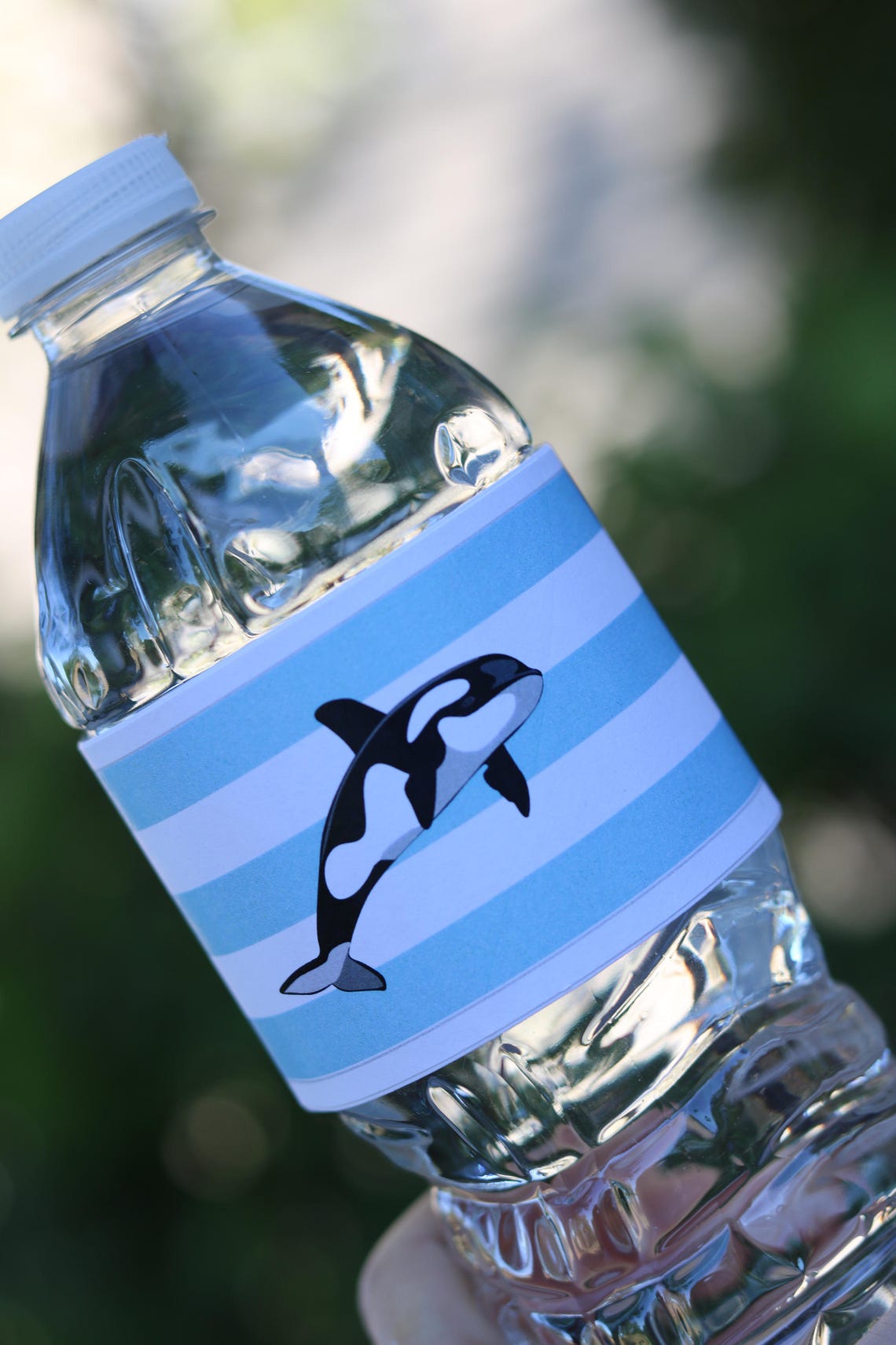 ORCA WHALE BIRTHDAY Water Bottle Labels Water Bottle - Etsy