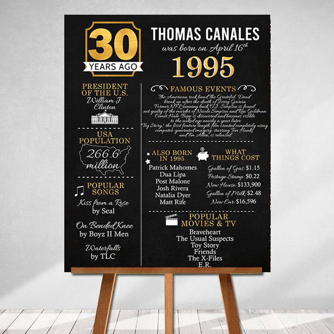 PRINTED 30th Birthday Poster, Back in 1995, What Happened in 1995, 30th ...