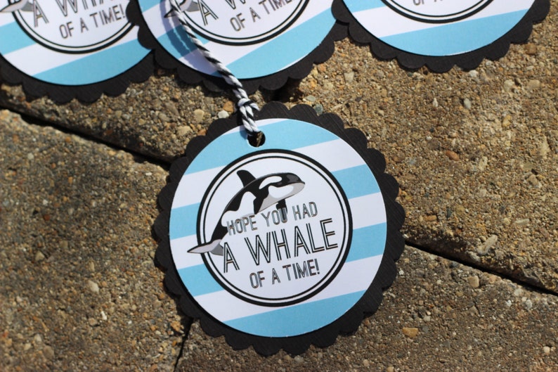 ORCA WHALE BIRTHDAY Party Favor Tags Boy Killer Whale - Etsy