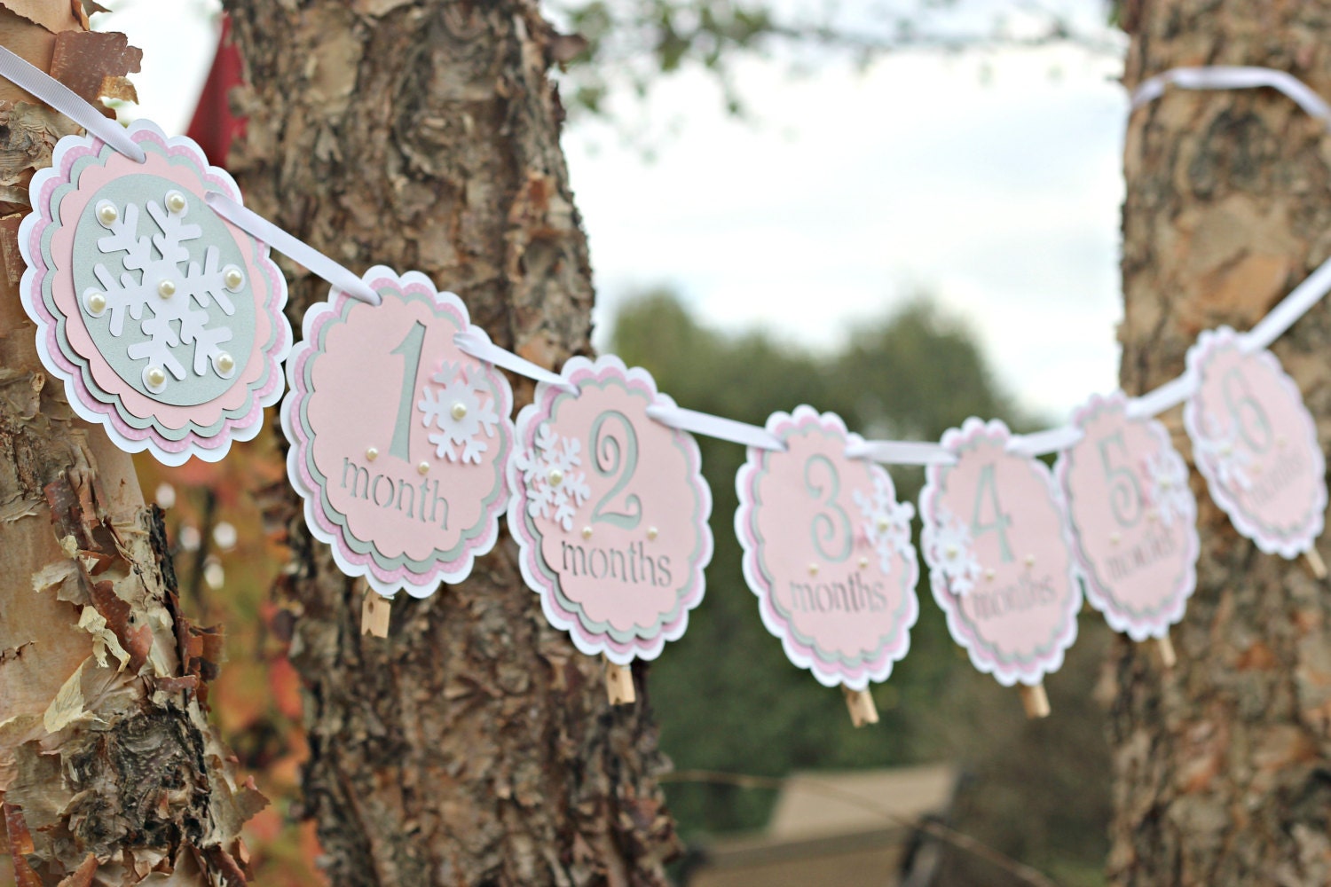 GIRL WINTER Onederland 12 Month Banner, First Year Banner, Monthly ...