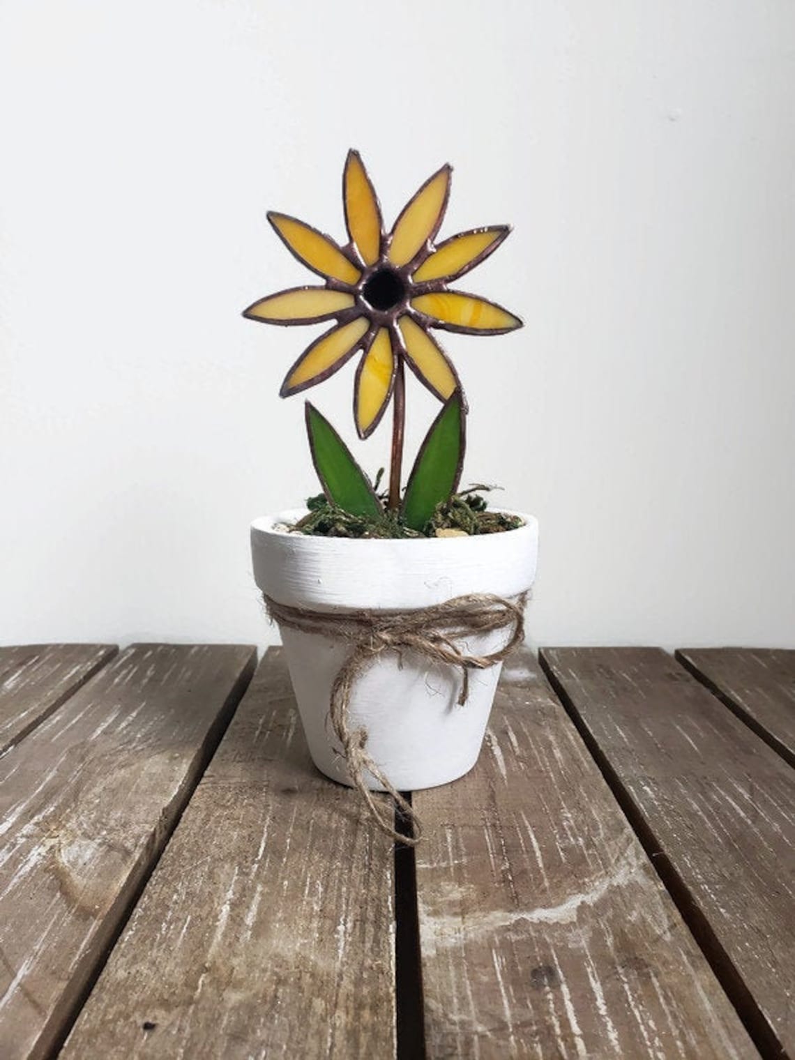 Stained Glass Potted Black Eyed Susan Everlasting - Etsy