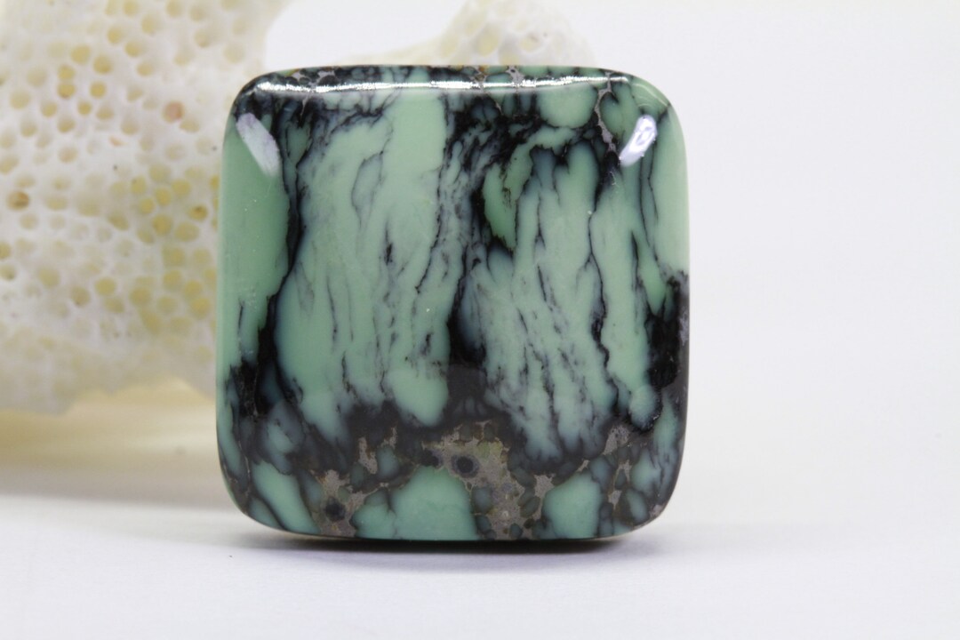 Snowville Variscite Cabs 19x19x7.3mm Variscite Cabochons Natural ...
