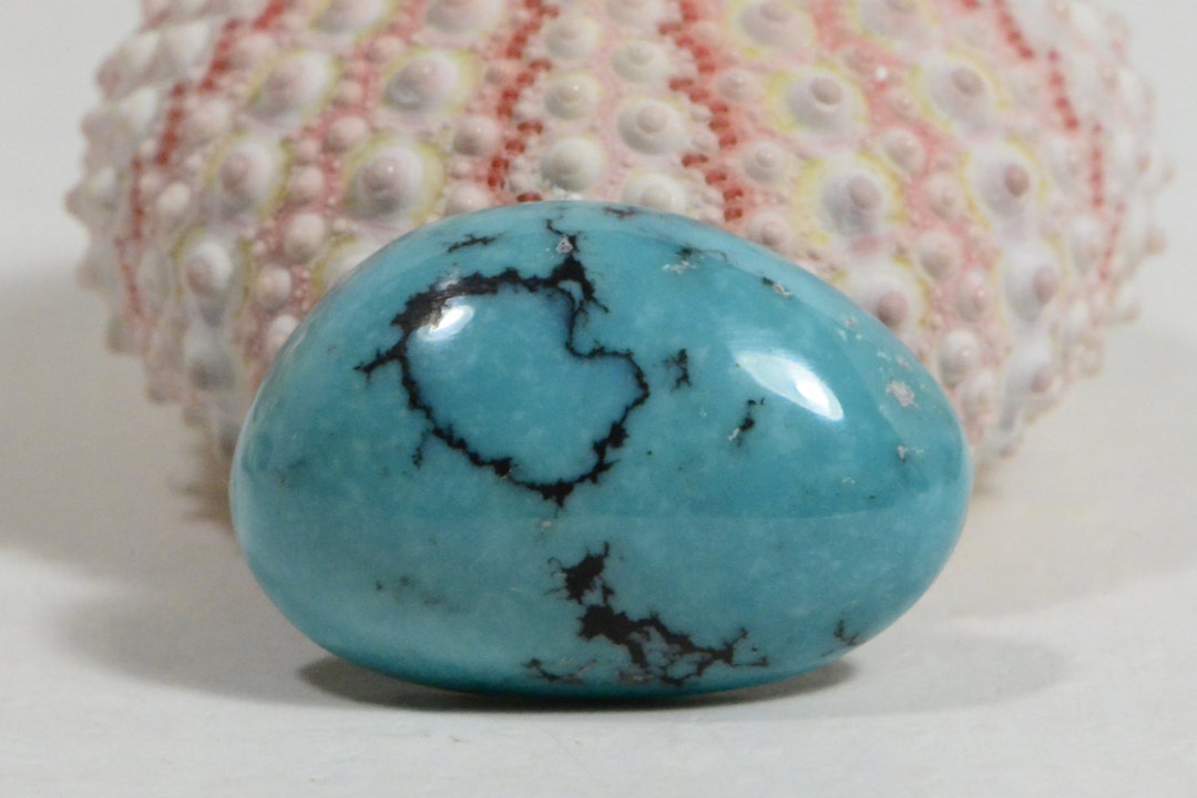 Turquoise Blue Moon 24x16x6.7mm Hand Cut Natural Gemstone Cabochon ...