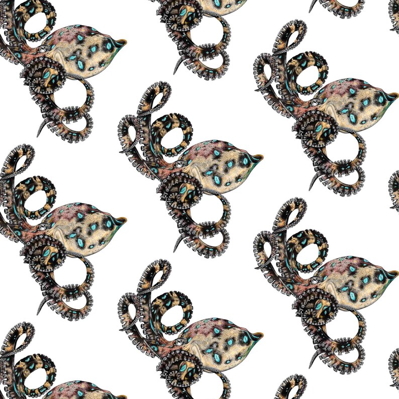 Pack X2 Octopus Gift Wrap Set, Wrapping Paper, Nature Wrap, Decorative ...