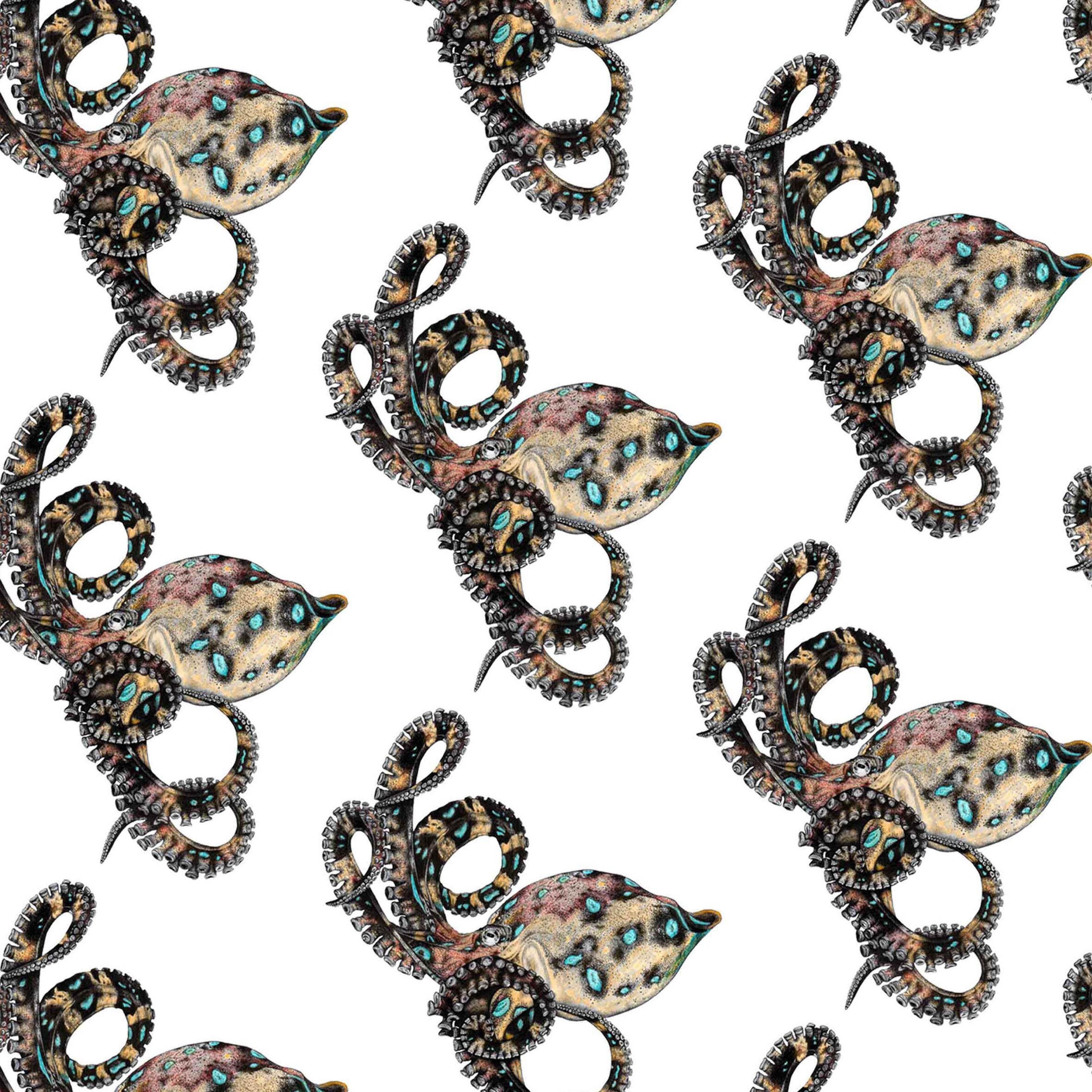Pack X2 Octopus Gift Wrap Set, Wrapping Paper, Nature Wrap, Decorative ...