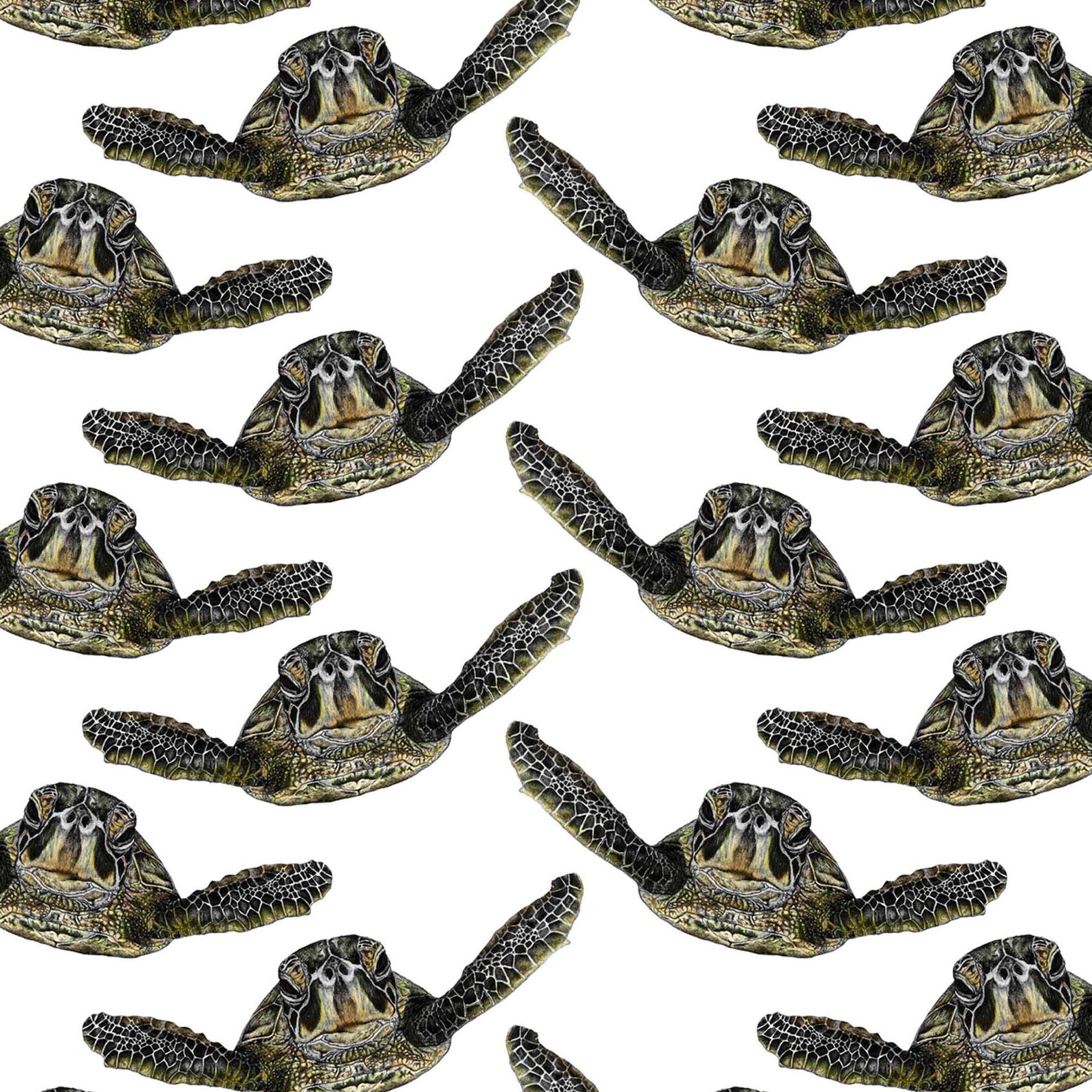 Pack X2 Turtle Gift Wrap Set, Wrapping Paper, Nature Wrap, Decorative ...