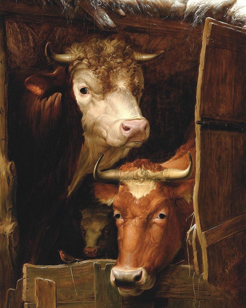 Cow Art Print | Farm Painting | Antique Cow Painting | Farmhouse Wall ...