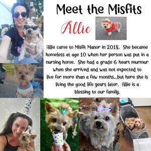 Paw Print Favor Boxes for Dog Birthday Party, Pink, Set of 6, Dog Party ...