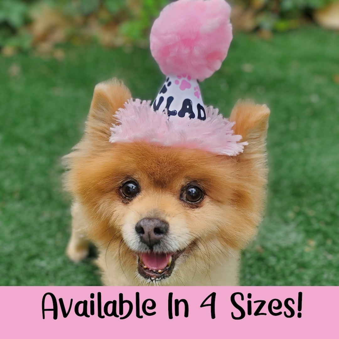Personalized Dog Birthday Hat, Party Hat for Dog, Puppy Party ...
