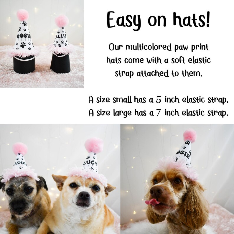 Personalized Dog Birthday Hat Party Hat for Dog Puppy Party | Etsy
