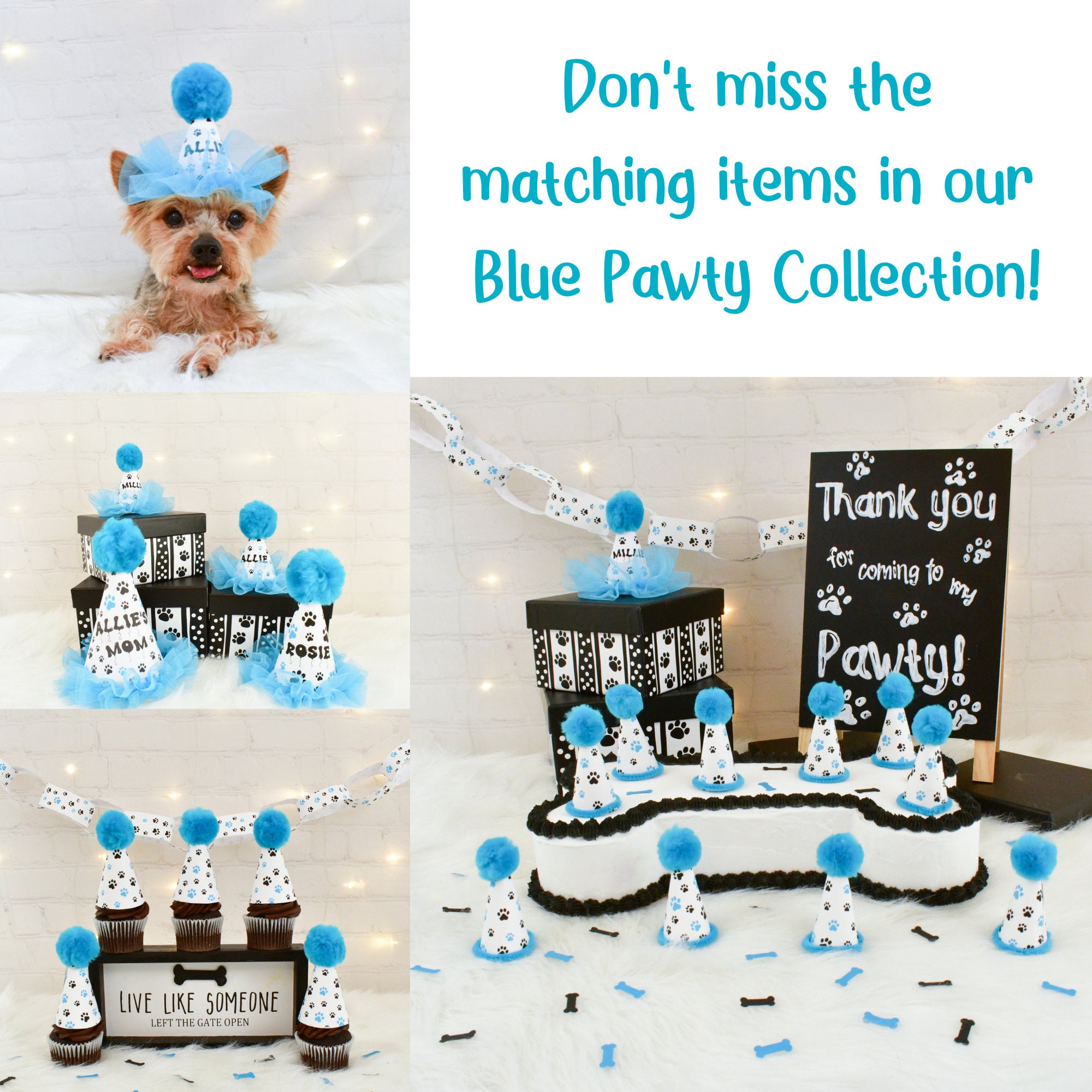 Paw Print Favor Boxes for Dog Birthday Party Set of 6 Dog - Etsy UK