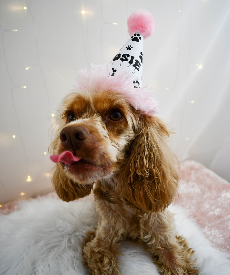 Personalized Dog Birthday Hat Party Hat for Dog Puppy Party | Etsy