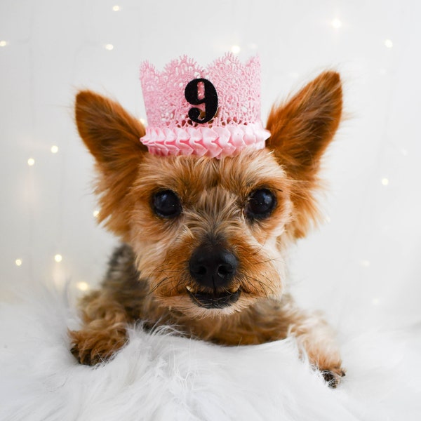Dog Birthday Hat - Etsy