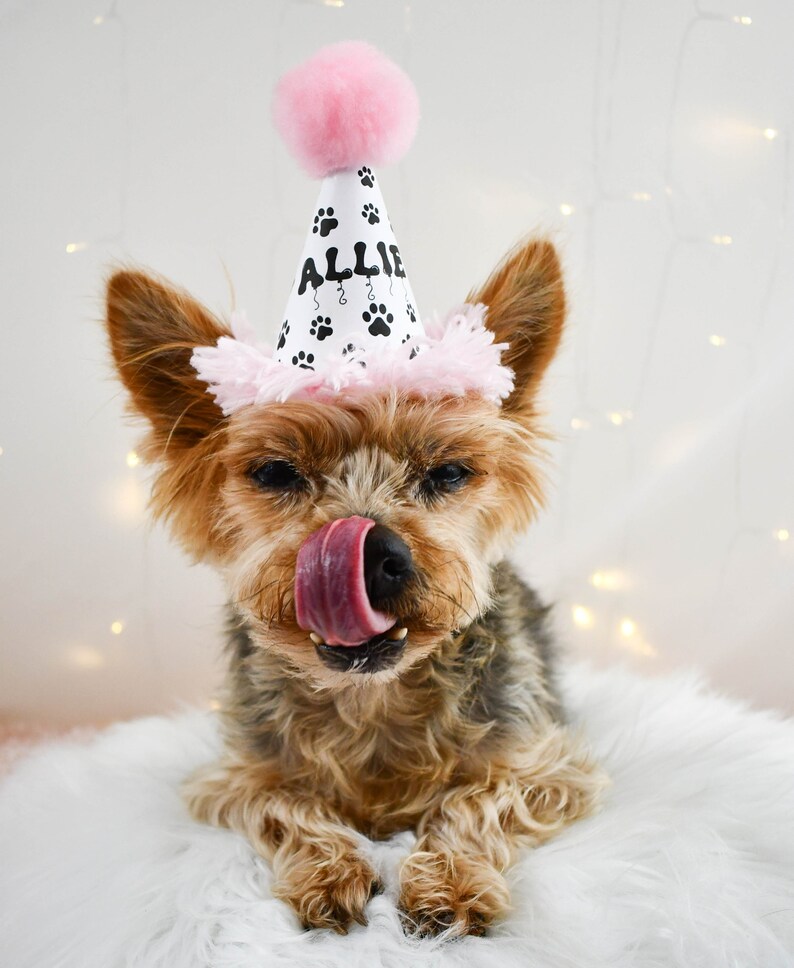 Personalized Dog Birthday Hat Party Hat for Dog Puppy Party | Etsy