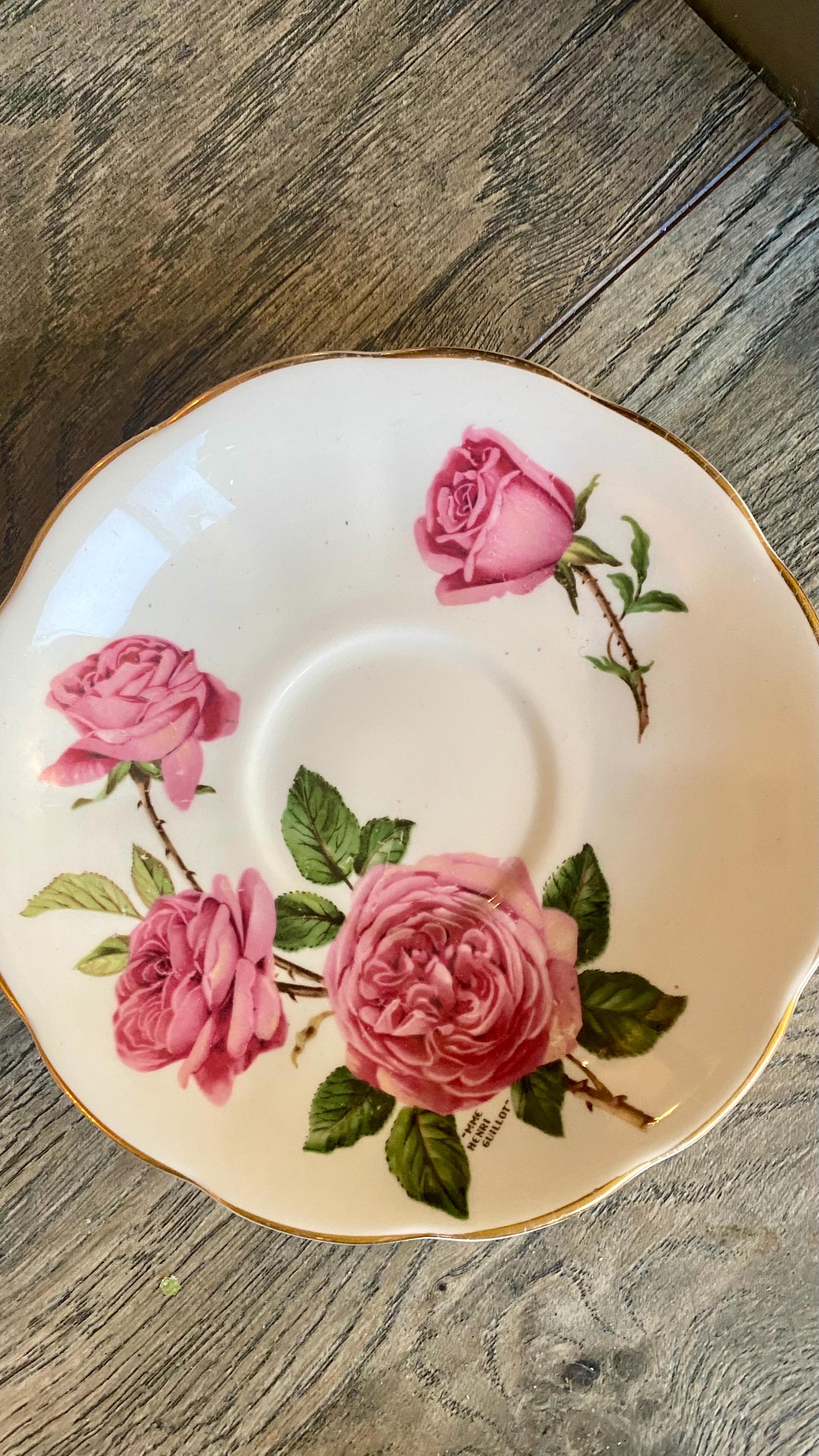 1950's 'queen's Fine Bone China Rose Pattern Cup and Saucer - Etsy