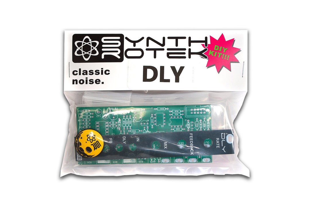 DLY Eurorack Delay Module Kit - Etsy