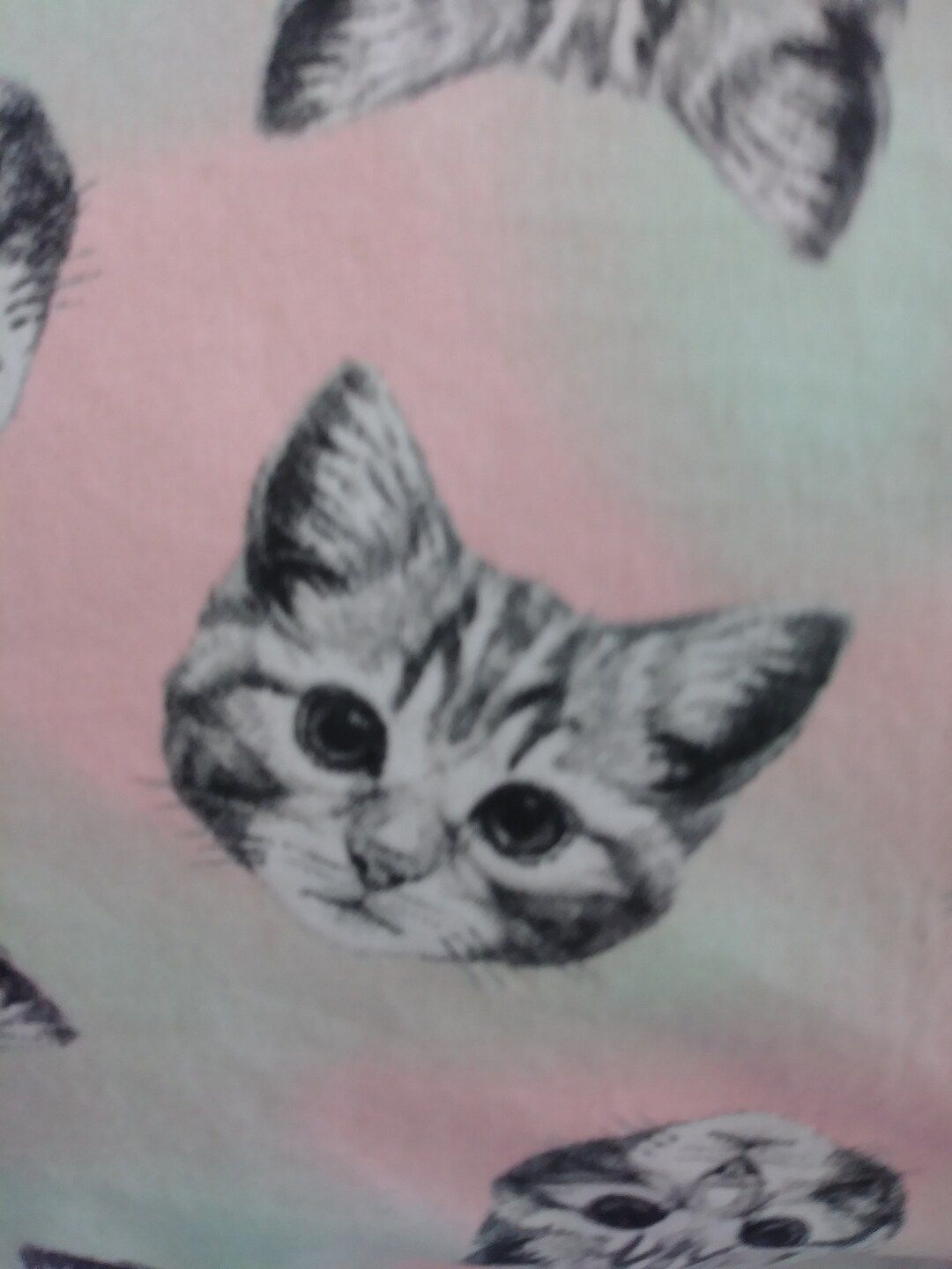 Cat Pillow / Blue and Pink Cotton Pillow / Child's Kitten - Etsy