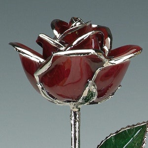 Burgundy Rose - Original Platinum Dipped Rose - Real Rose Plated in ...