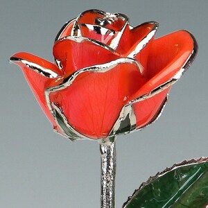 Coral Platinum Rose by Living Gold Real Rose Dipped & Plated in ...