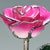 Dark Green Platinum Rose by Living Gold Real Rose Dipped & Plated in ...