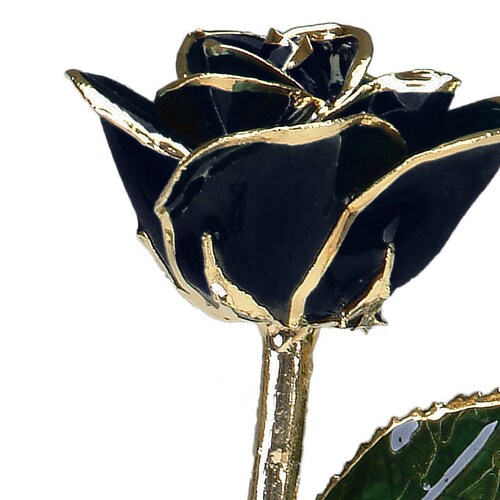 Real Forever Rose Fully Dipped in 24K Gold Includes Gift - Etsy