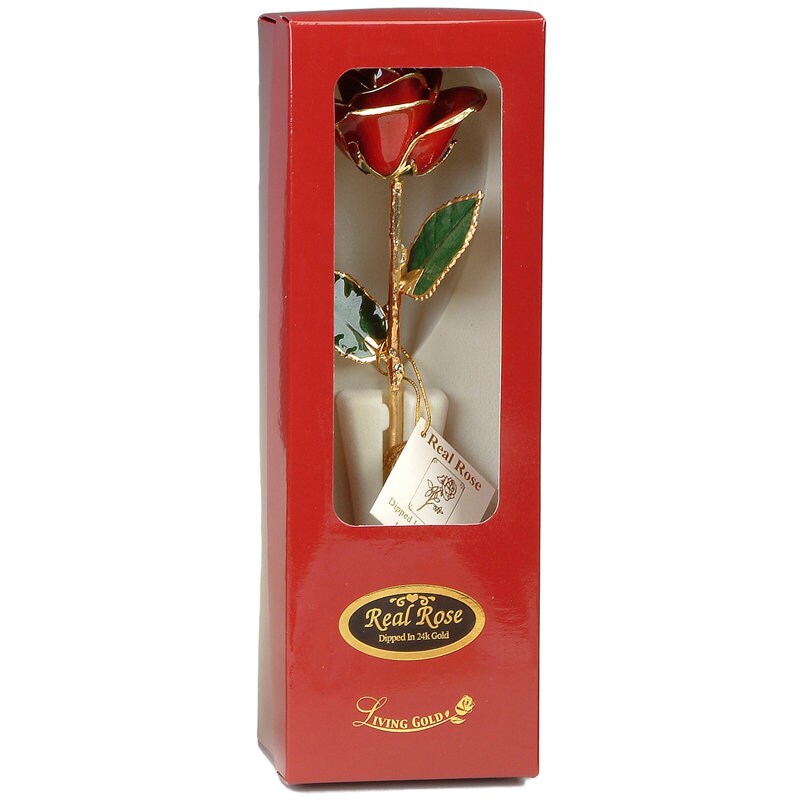 Red Rose - Original 24k Gold Dipped Rose - Real Rose Plated in Gold by ...