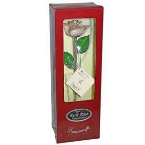 Pearl White Rose - Original Platinum Dipped Rose - Real Rose Plated in ...