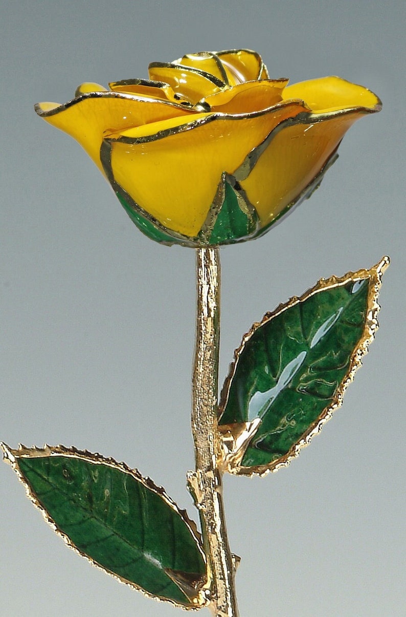 Yellow Rose by Living Gold Original 24k Gold Dipped Rose - Etsy