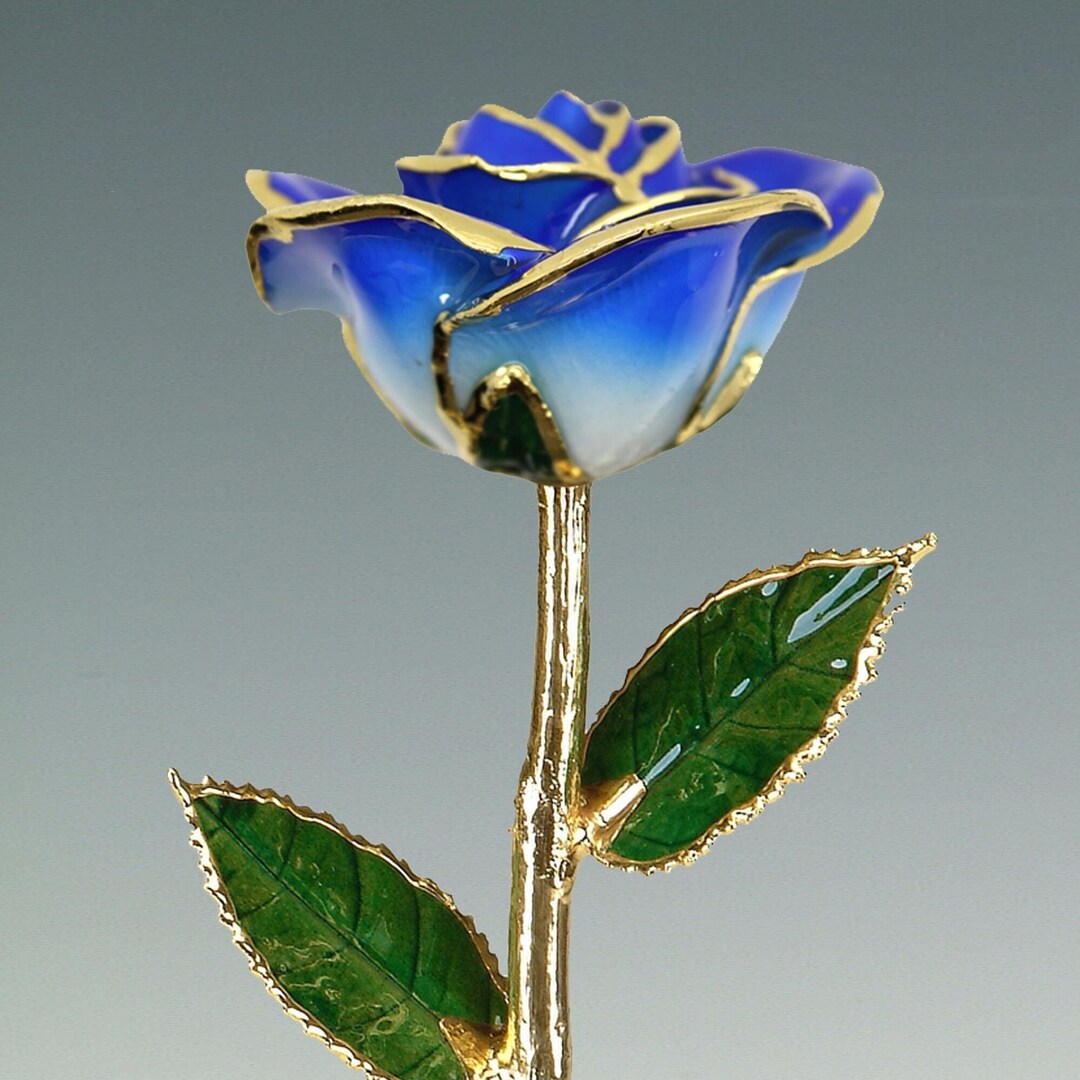 2-tone Dark Blue Rose - Original 24k Gold Dipped Rose - Real Rose ...