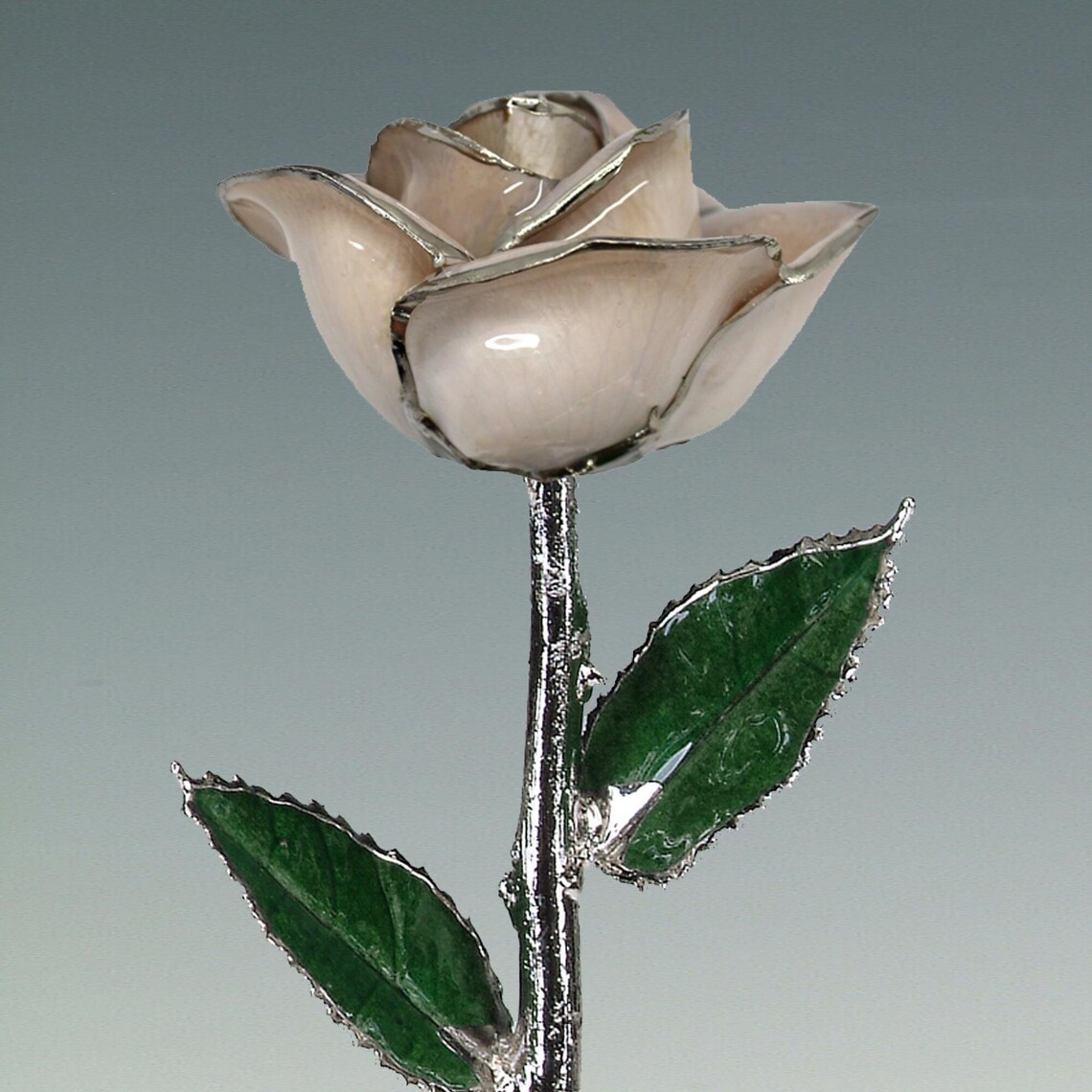 Pearl White Rose - Original Platinum Dipped Rose - Real Rose Plated in ...