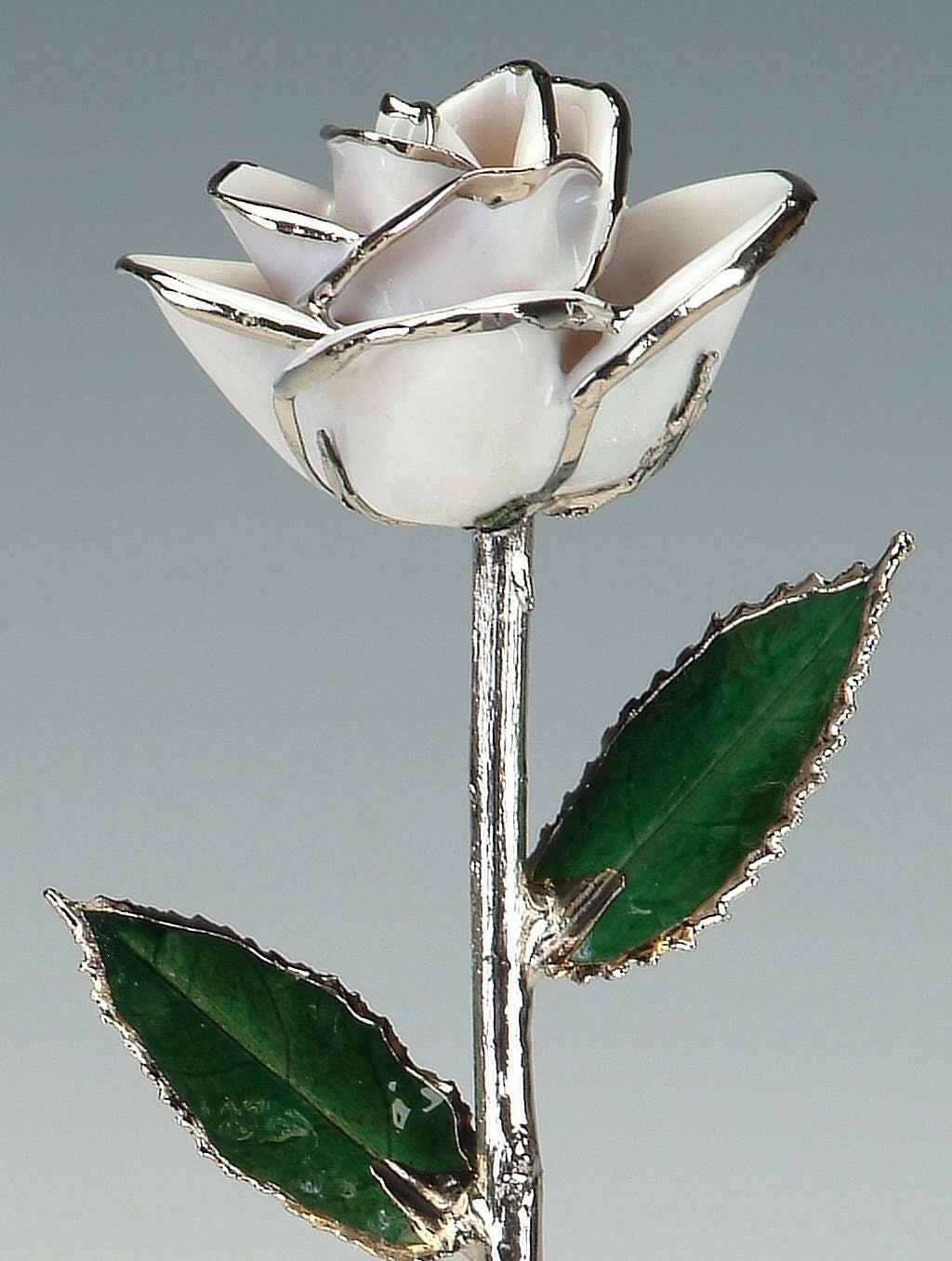 Snow White Platinum Rose by Living Gold Real Rose Dipped in Platinum ...