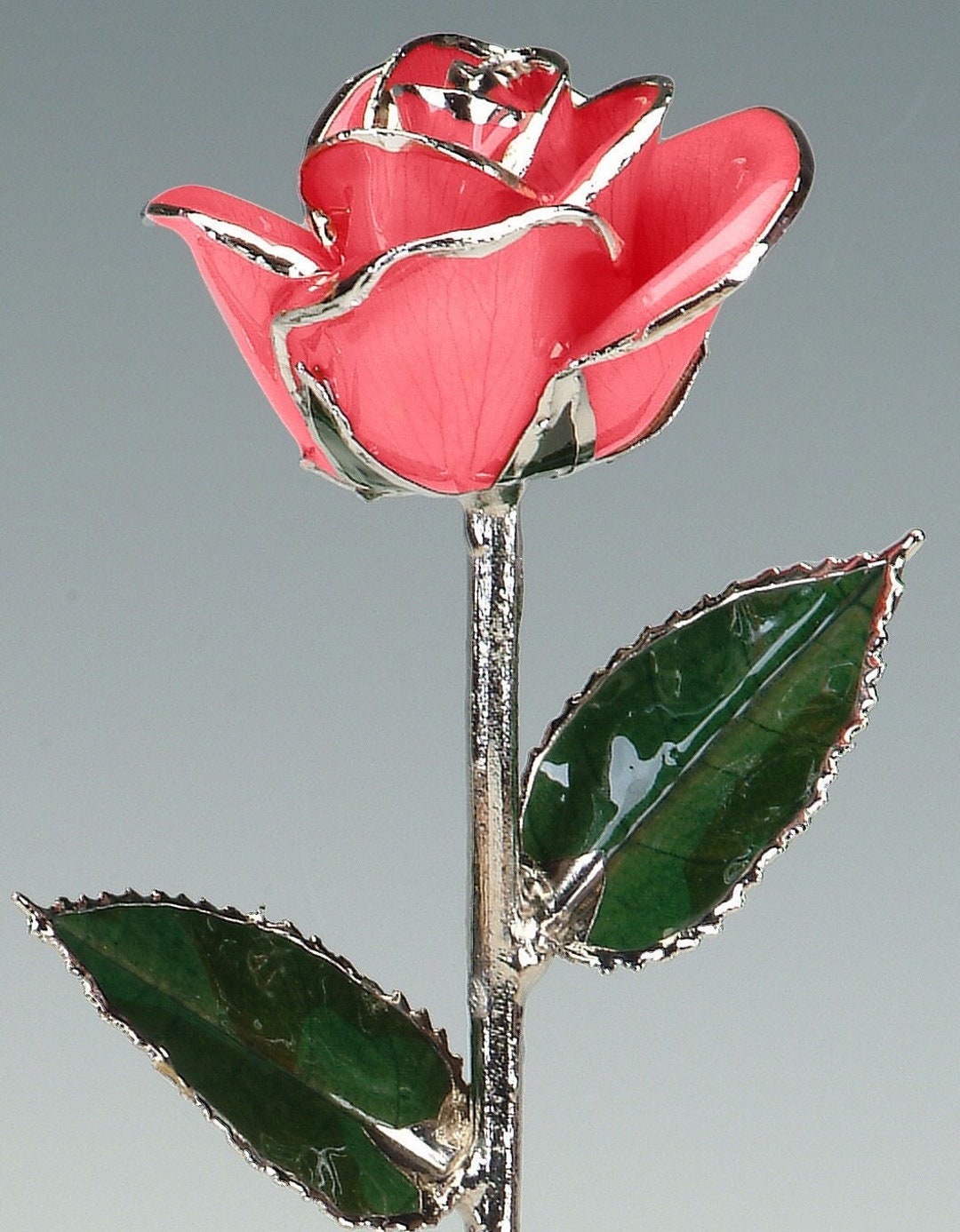 Pink Platinum Rose by Living Gold Real Rose Dipped & Plated in Platinum ...
