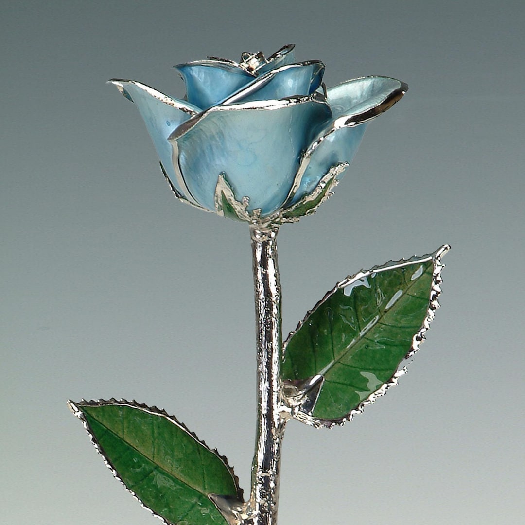 Light Blue Rose - Original Platinum Dipped Rose - Real Rose Plated in ...