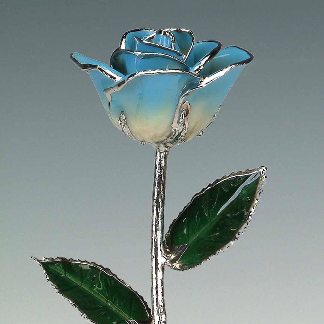 2-tone Light Blue Rose - Original Platinum Dipped Rose - Real Rose ...