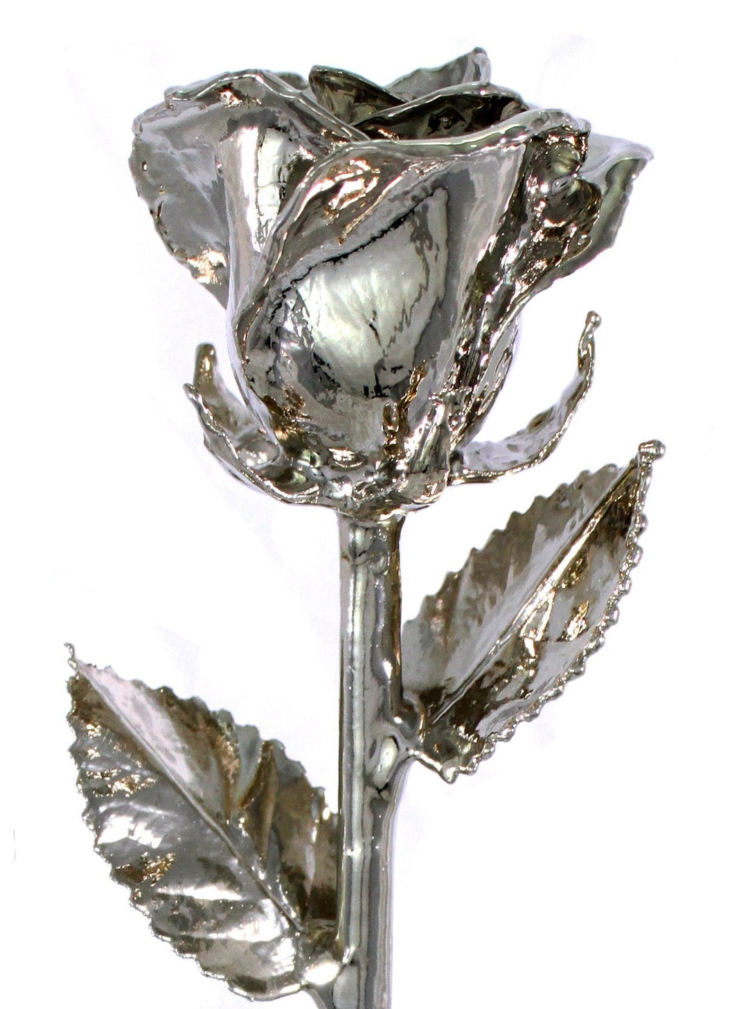 Platinum Venus Rose by Living Gold Real Rose Dipped in Platinum 12 Open ...