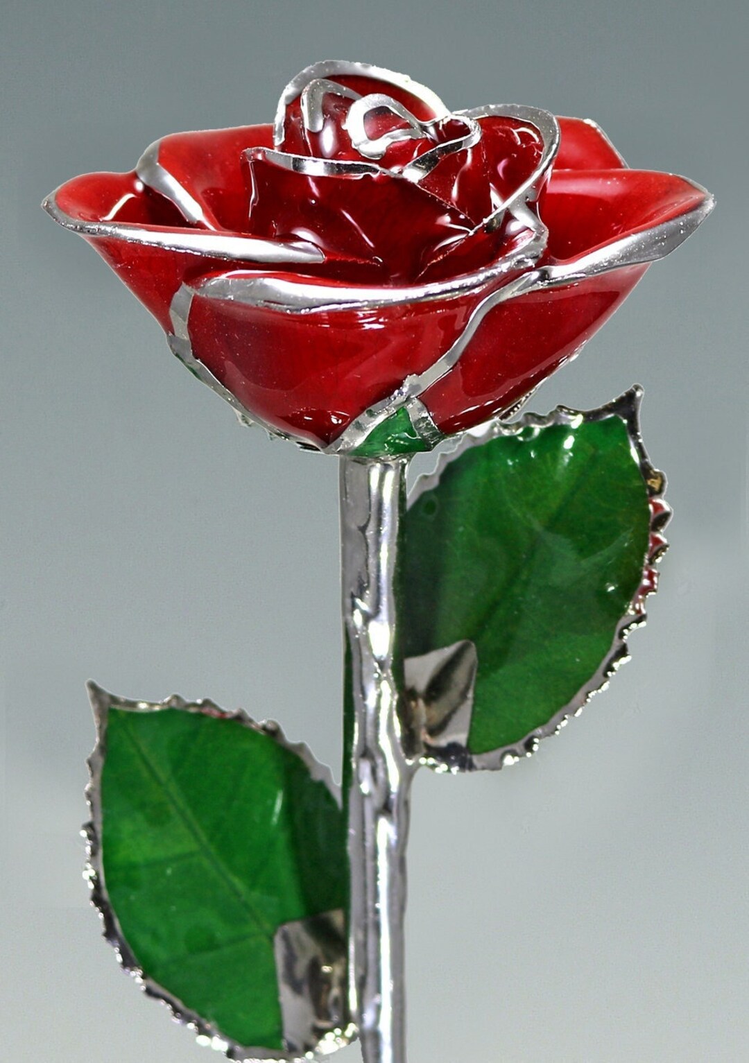 Red Platinum Rose by Living Gold Real Rose Dipped & Plated in Platinum ...