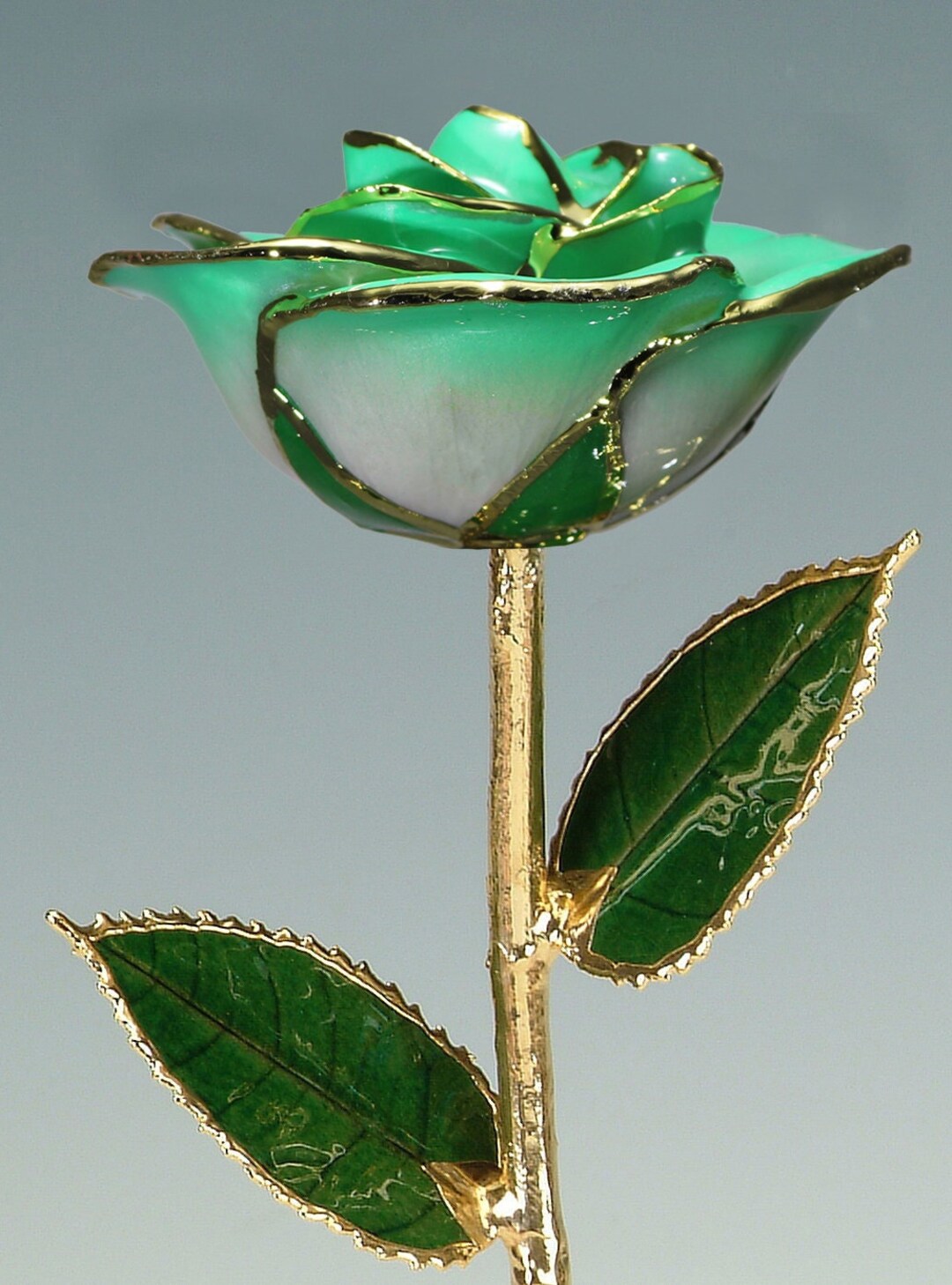 2-tone Light Green Rose by Living Gold Original 24k Gold Dipped Rose ...