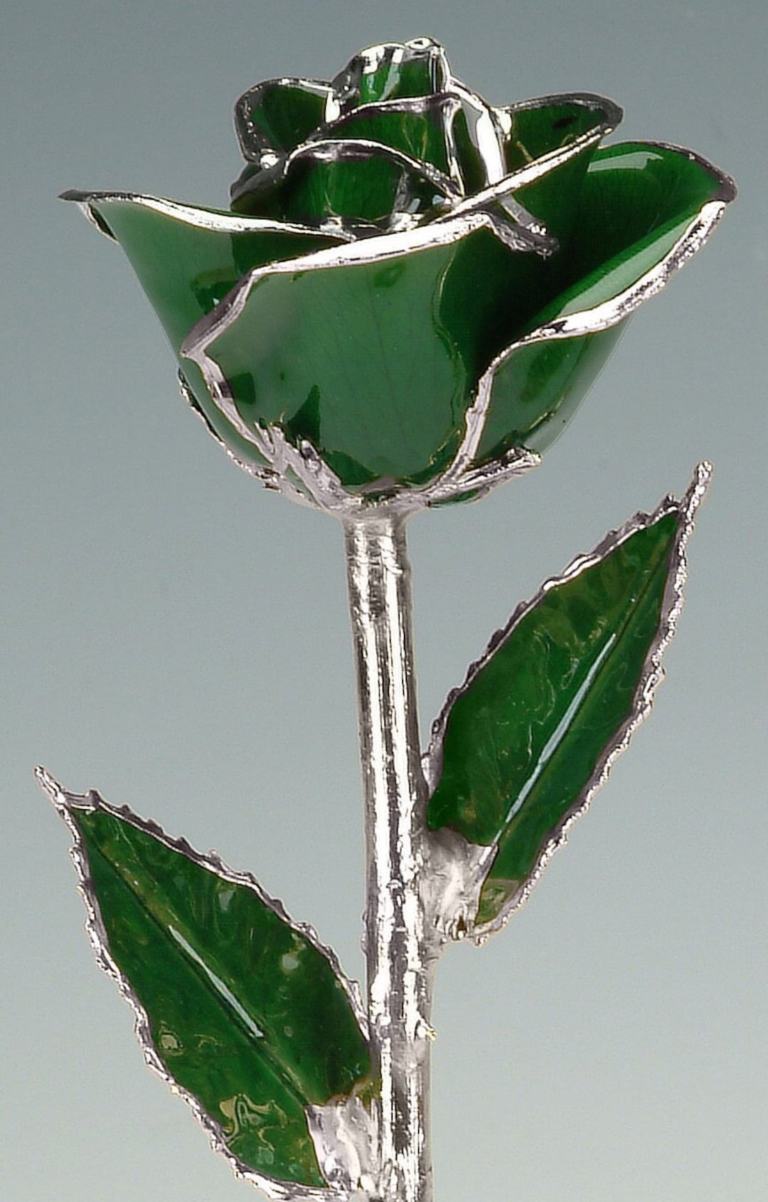 Dark Green Platinum Rose by Living Gold Real Rose Dipped & Plated in ...