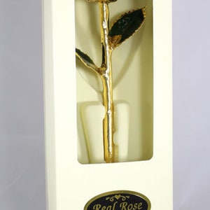 Emerald Green Sparkle Rose by Living Gold Real Rose Dipped | Etsy