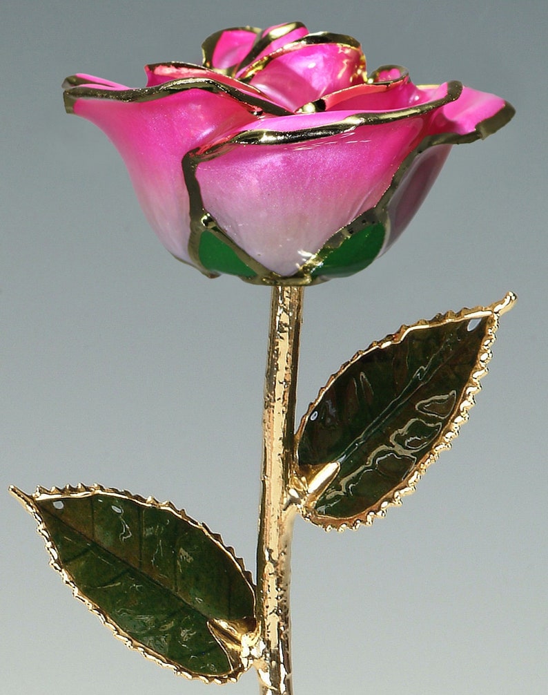 2-tone Pink Rose by Living Gold Original 24k Gold Dipped - Etsy
