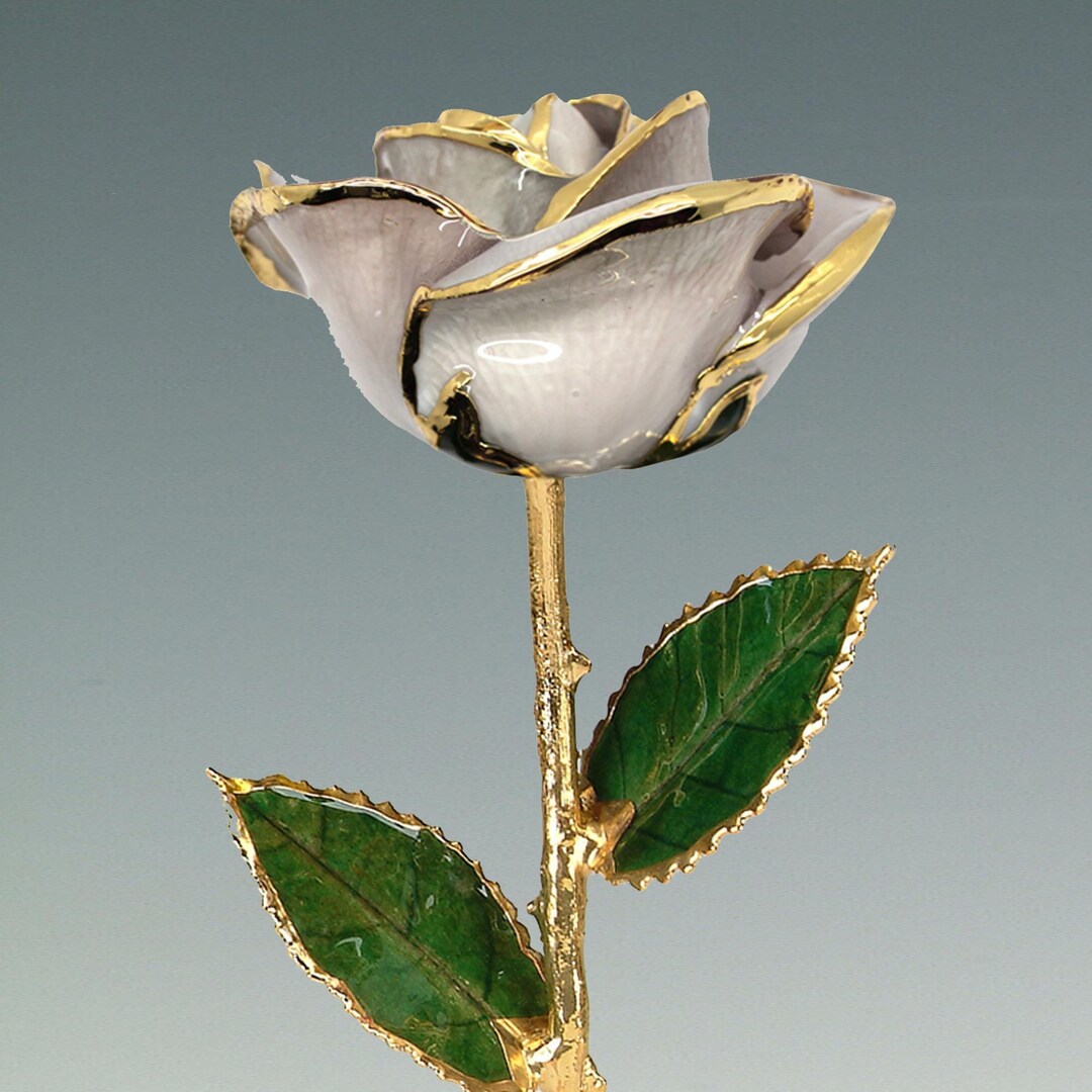Pearl White Rose - Original 24k Gold Dipped Rose - Real Rose Plated in ...