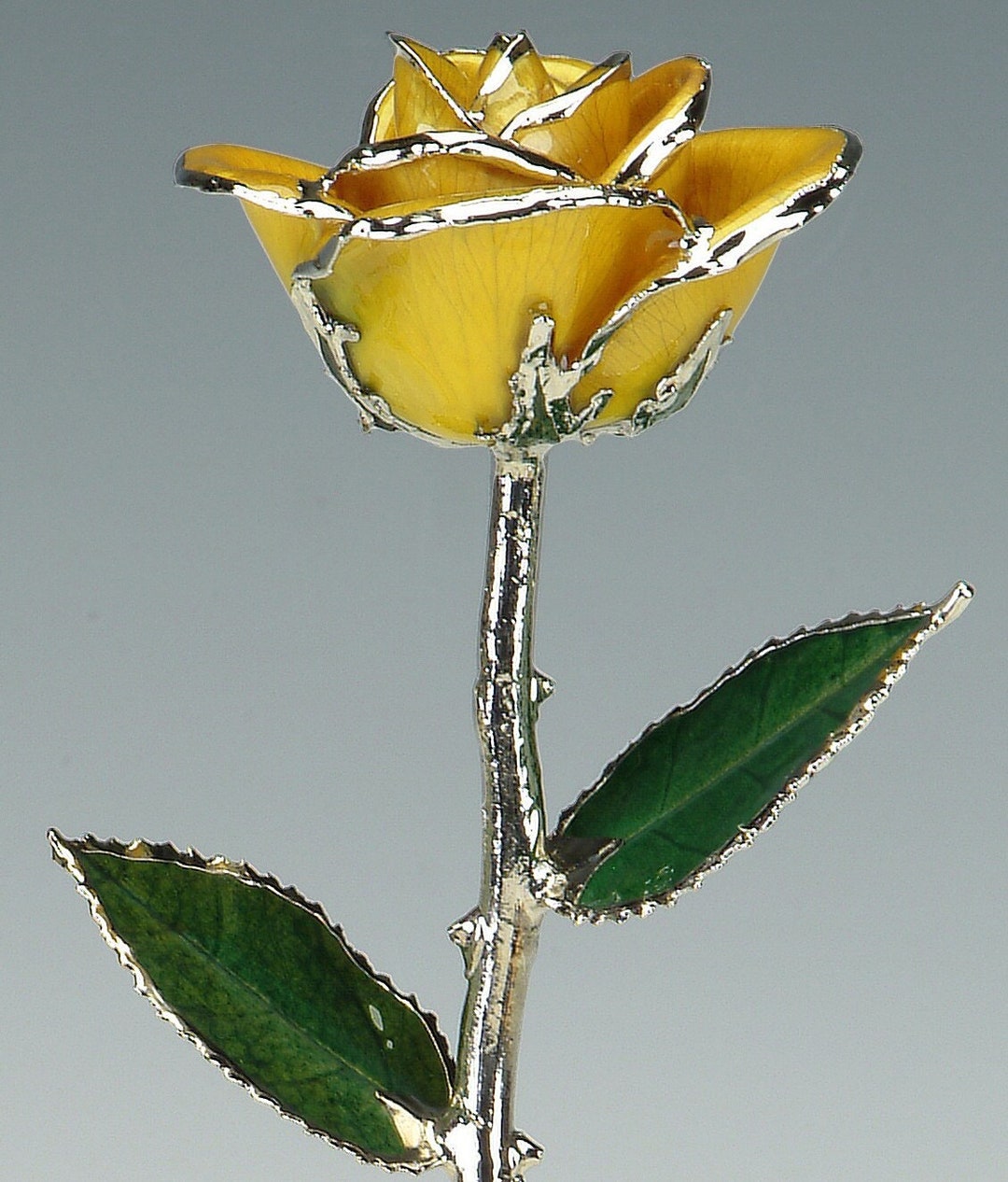 Yellow Platinum Rose by Living Gold Real Rose Dipped in - Etsy
