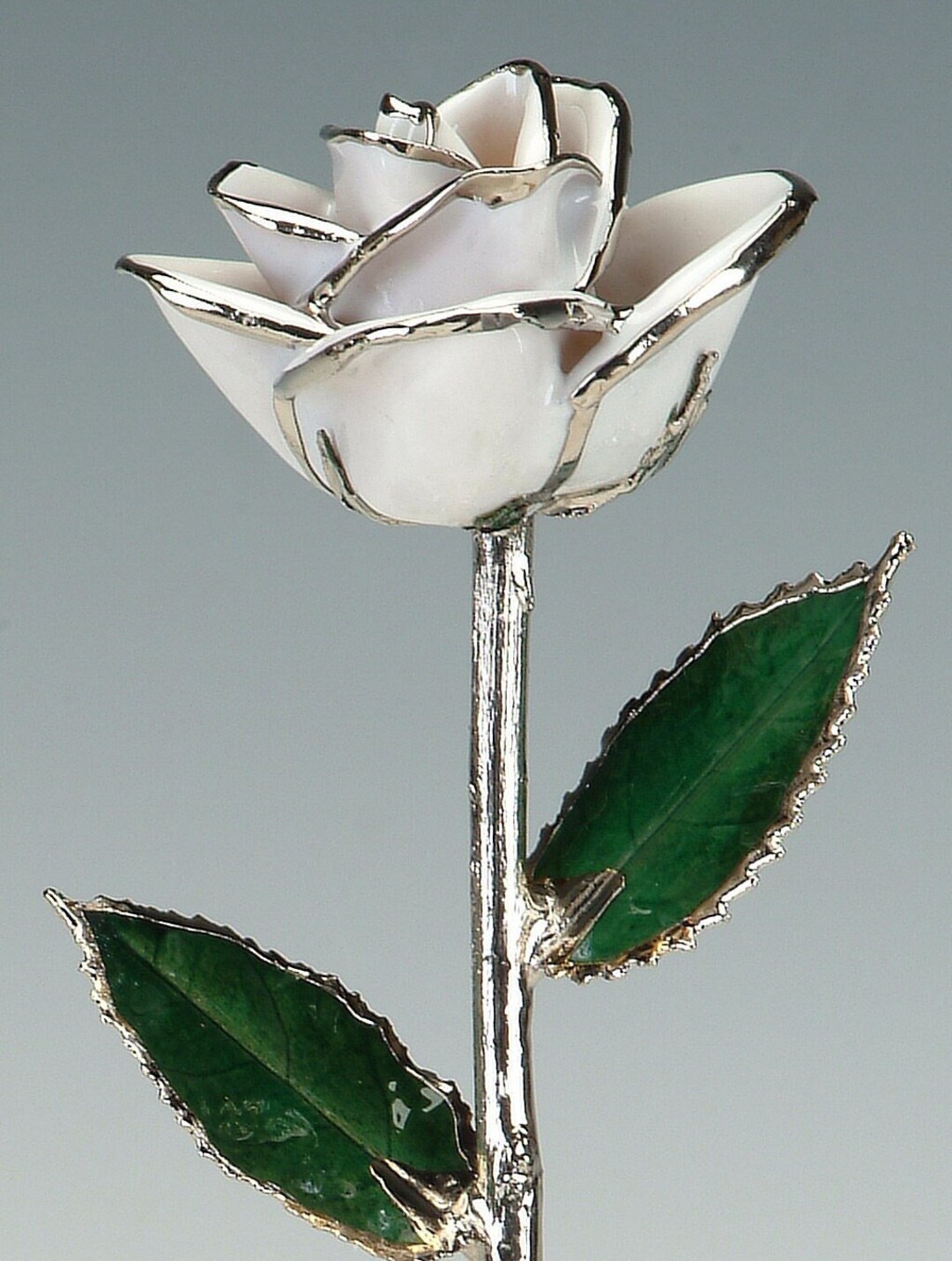 Snow White Platinum Rose by Living Gold Real Rose Dipped & Plated in ...