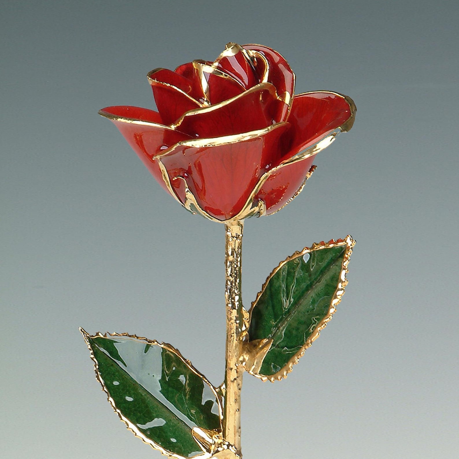 Red Rose - Original 24k Gold Dipped Rose - Real Rose Plated in Gold by ...