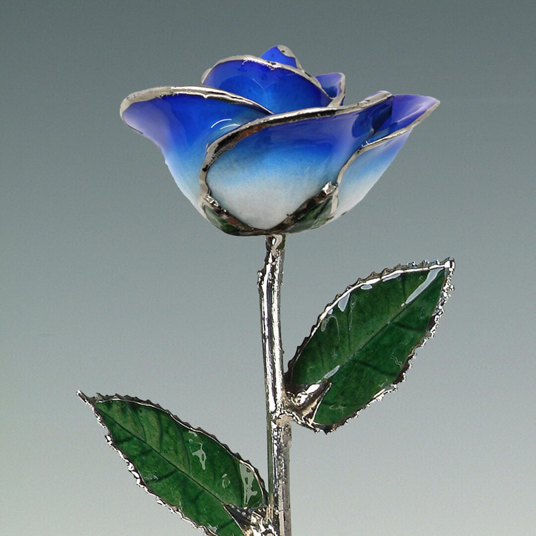 2-tone Dark Blue Rose - Original Platinum Dipped Rose - Real Rose ...