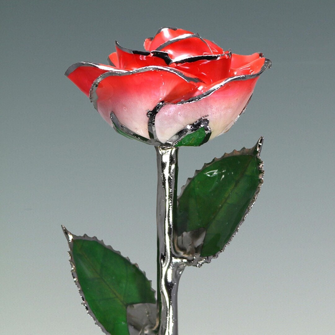 2-tone Coral Rose - Original Platinum Dipped Rose - Real Rose Plated in ...