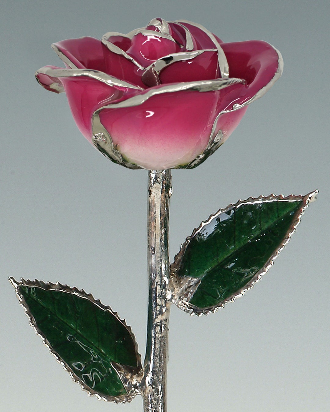 2-tone Pink Platinum Rose by Living Gold Real Rose Dipped in - Etsy